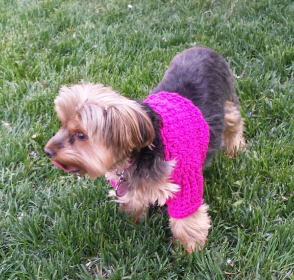 Miss Brookie Struts Her Stuff - Snappy Tots