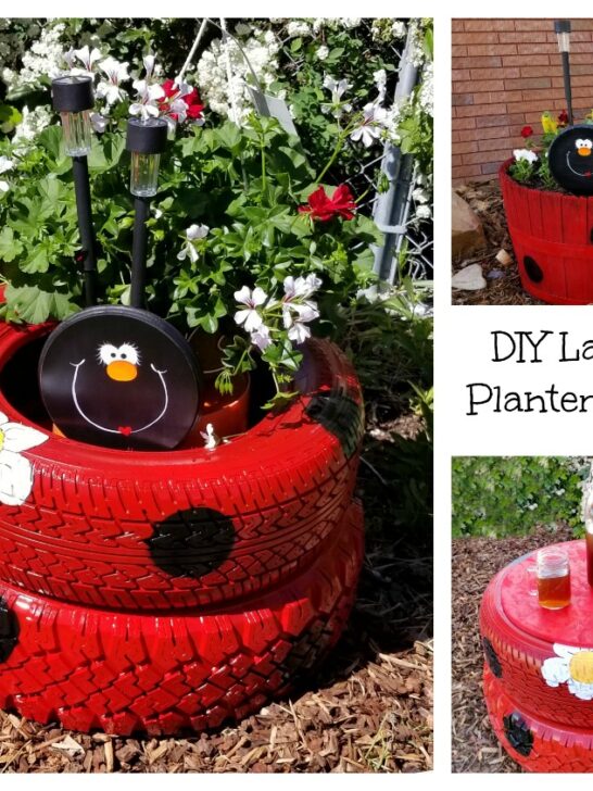 DIY Ladybug Planter and Table – snappy tots