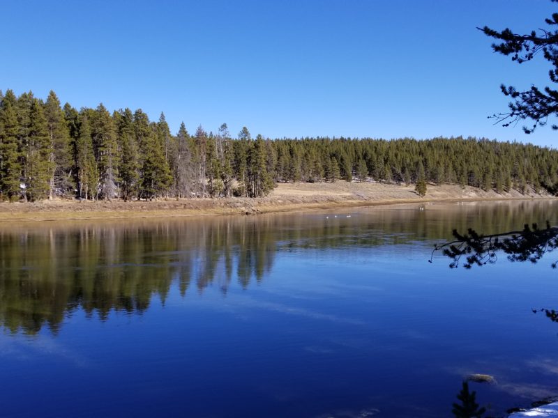 Staying Warm With a Touch of Wimzy – snappy tots